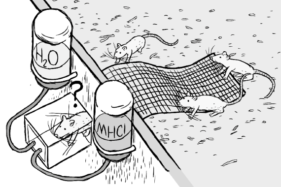 Rat Park printed comic books - now available - Stuart McMillen